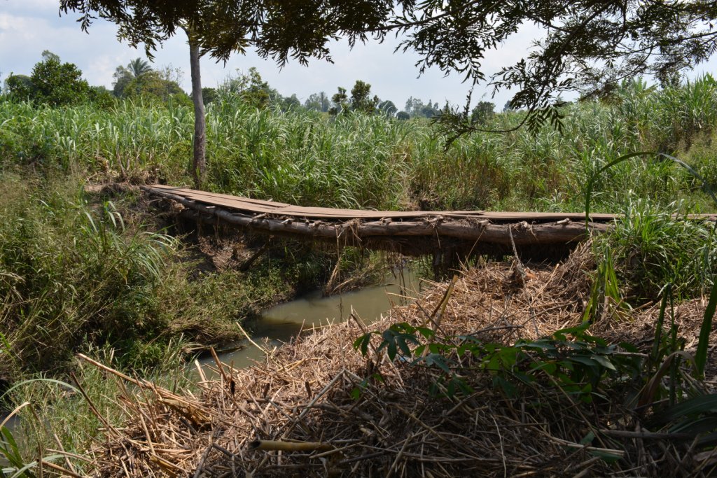 High School Bridge Project – Hope & Care for Little Souls